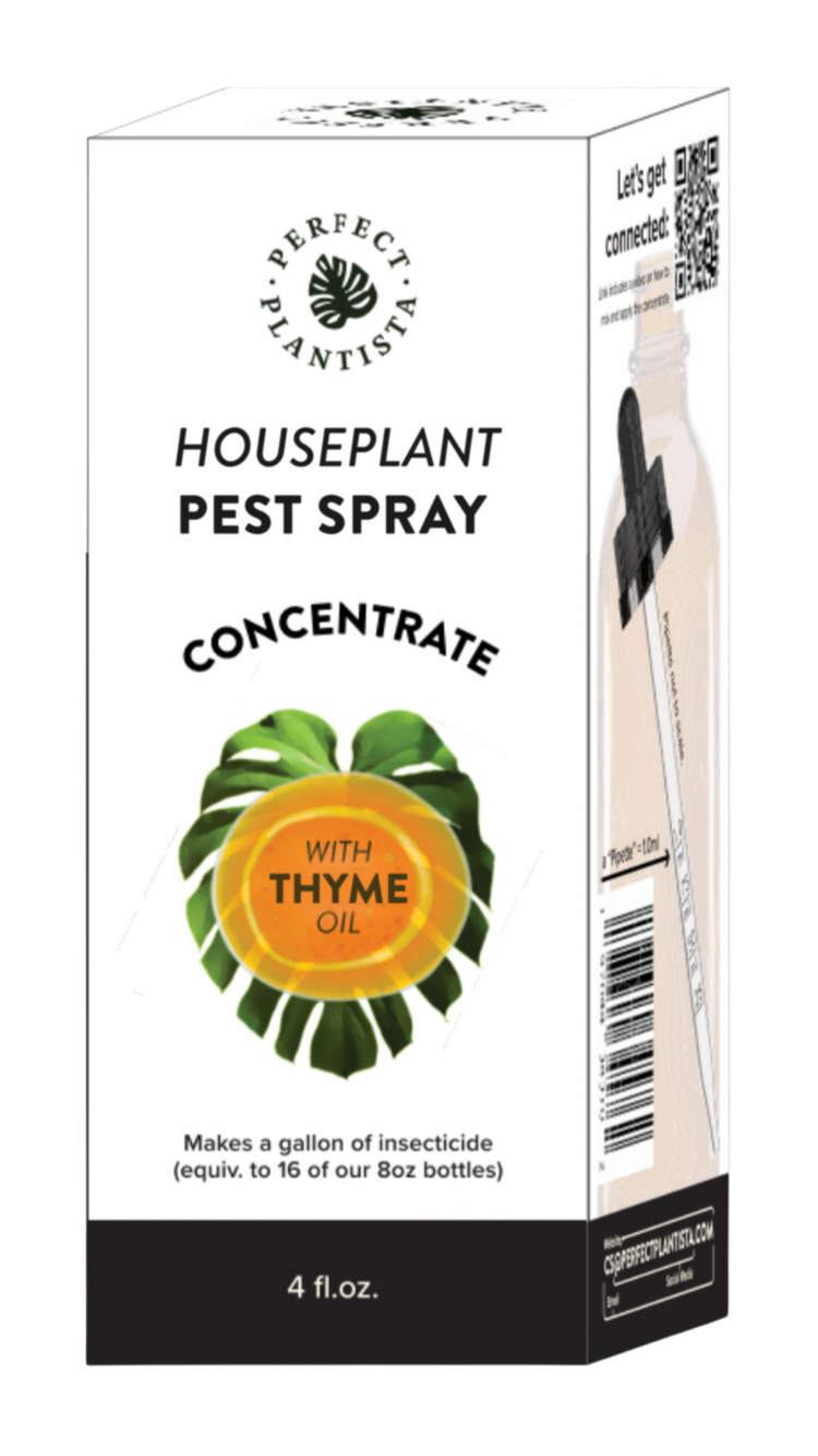 Houseplant Pest Spray – Perfect Plantista