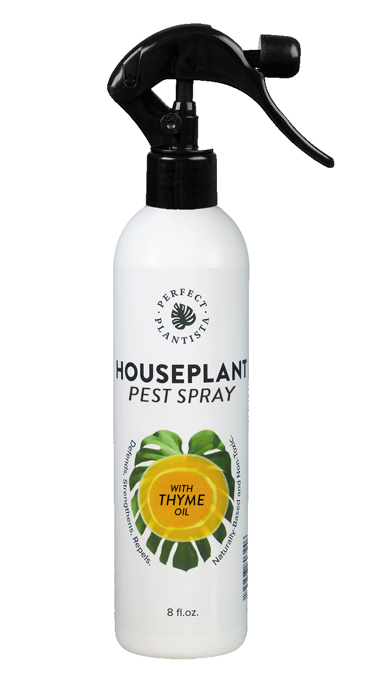 Products – Perfect Plantista