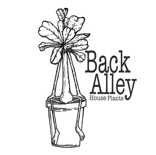 Perfect Plantista- for happier, healthier houseplants.